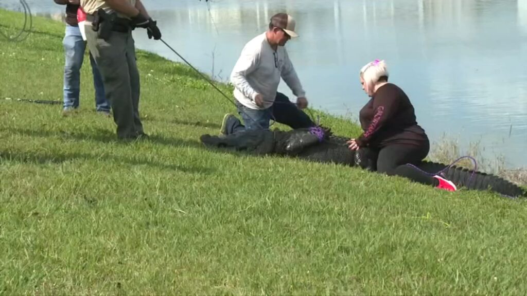 85-year-old woman killed by gator while with her dog in St. Lucie ...